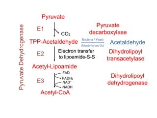 TCA cycle citric acid cycle krebs cycle. | PPTX