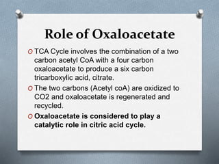 TCA Cycle or Krebs cycle - Energtics ,Regulation | PPTX