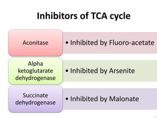 TCA Cycle or Krebs cycle - Energtics ,Regulation | PPTX