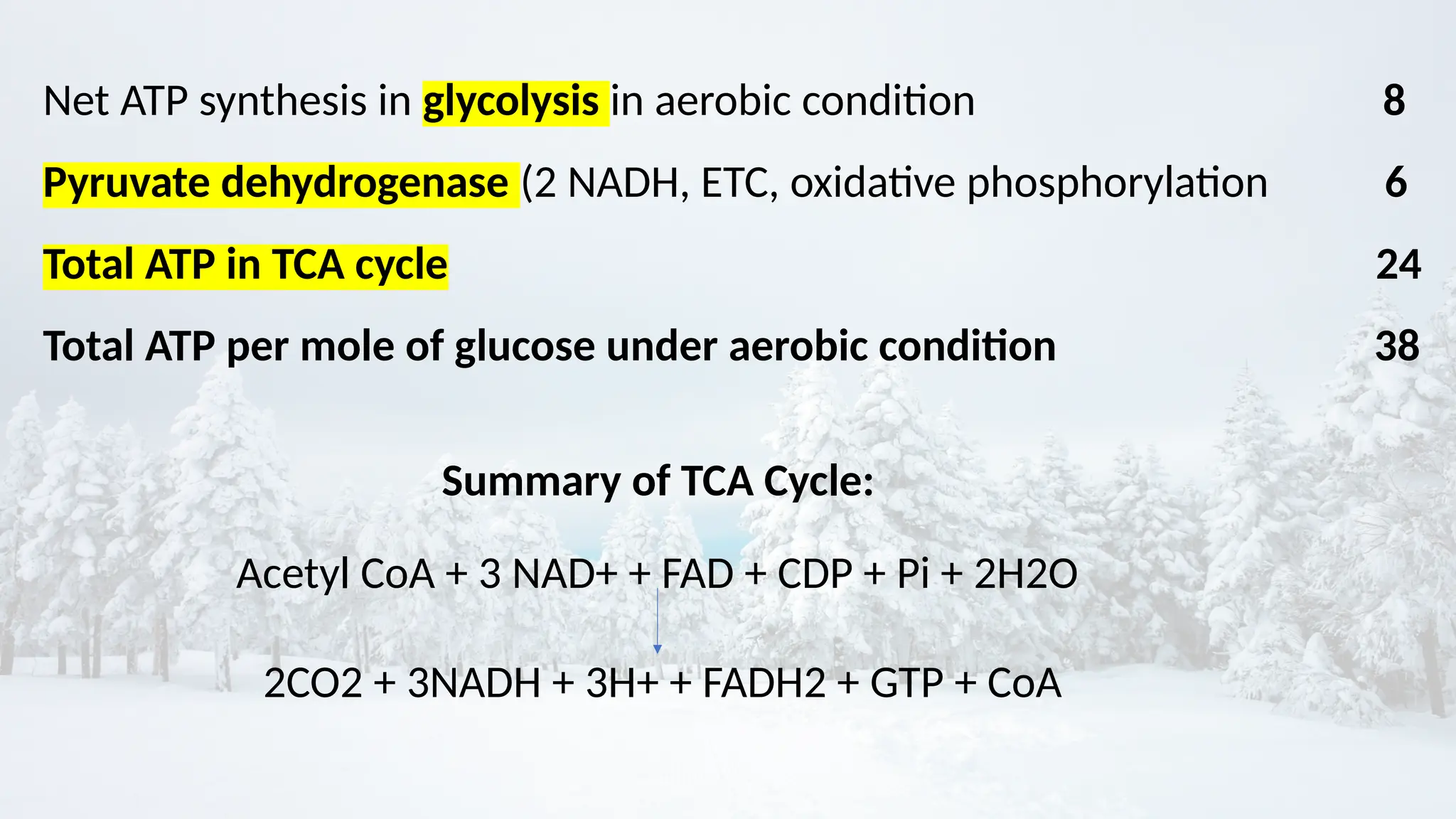 TCA Cycle (Krebs cycle or tricarboxylic acid) | PPTX