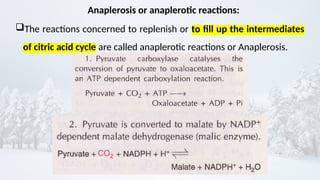 TCA Cycle (Krebs cycle or tricarboxylic acid) | PPTX | Endocrine and ...