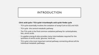 The citric acid cycle - elementary biochemistry | PPTX