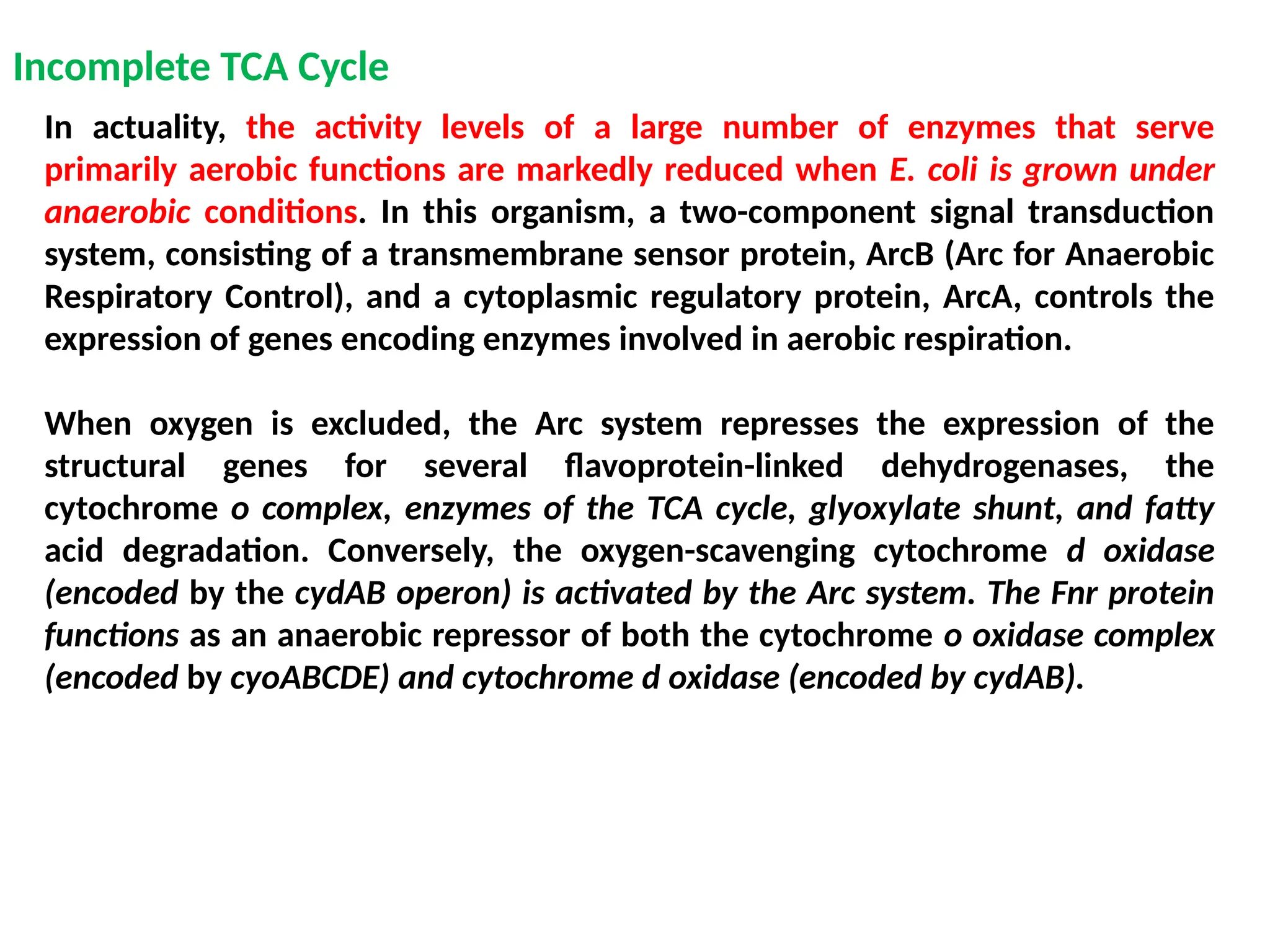 TCA cycle in detail with all the mechanicsm | PPTX