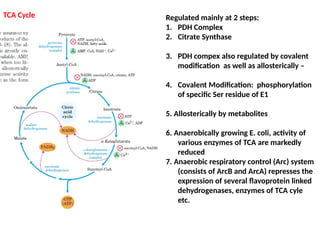 TCA cycle in detail with all the mechanicsm | PPT