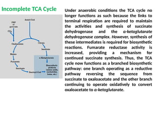 TCA cycle in detail with all the mechanicsm | PPT