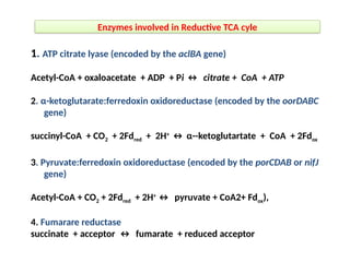 TCA cycle in detail with all the mechanicsm | PPT
