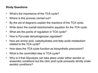 TCA CYCLE and ETC | PPT