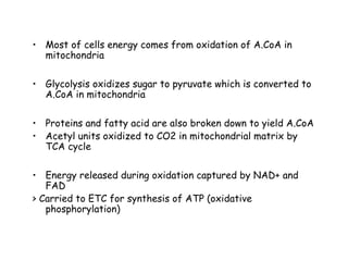 TCA CYCLE and ETC | PPT
