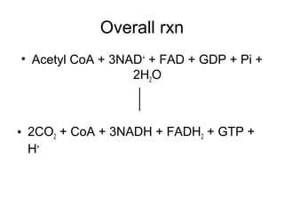 TCA CYCLE and ETC | PPT
