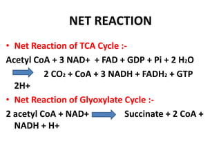 Krebs Cycle Chemical Equation