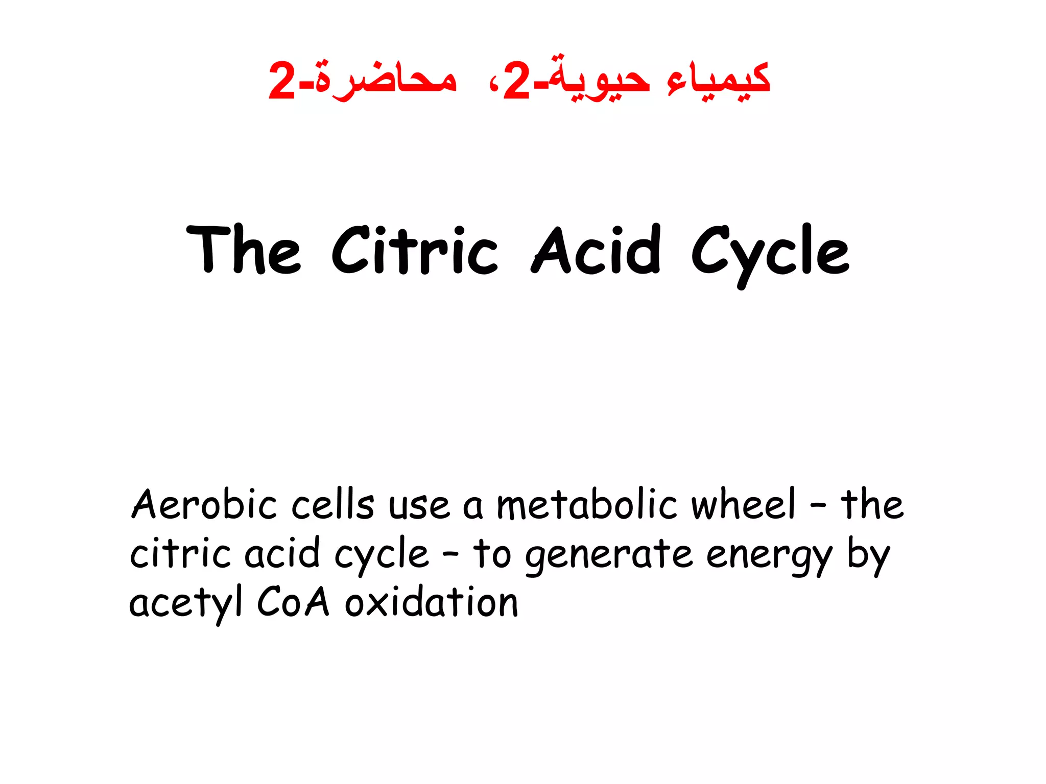 TCA cycle+Electron Transport Chain_BIOCHEM-2__Lecture-2.pptx