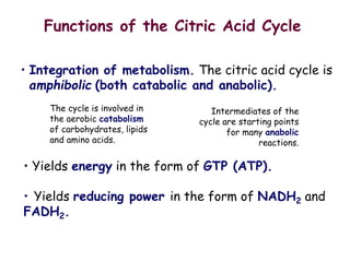 TCA cycle+Electron Transport Chain_BIOCHEM-2__Lecture-2.pptx