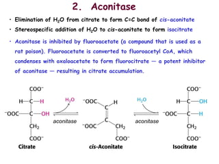TCA cycle+Electron Transport Chain_BIOCHEM-2__Lecture-2.pptx