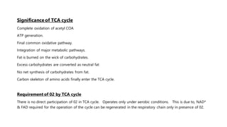Tca cycle | PPT