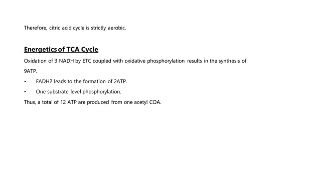 Tca Cycle Ppt
