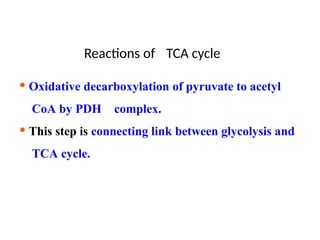 Metabolism of carbohydrates- TCA cycle(Kreb's cycle) | PPTX