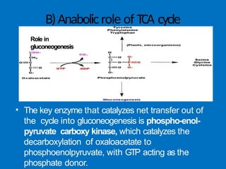 TCA CYCLE REGULATION $ SIGNIFICANCE.pptx