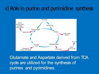 TCA CYCLE REGULATION $ SIGNIFICANCE.pptx