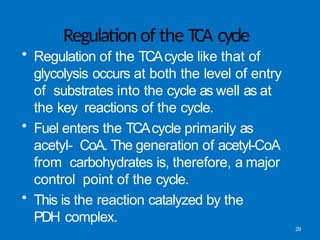 TCA CYCLE REGULATION $ SIGNIFICANCE.pptx