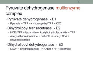 TCA Cycle | PPTX