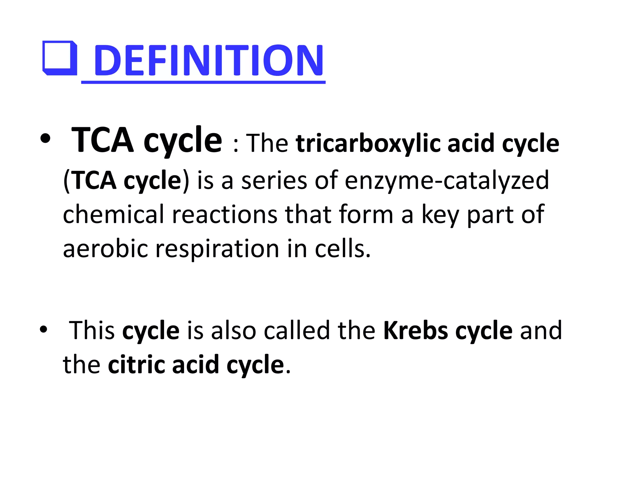 TCA & glyoxylate cycle | PPTX