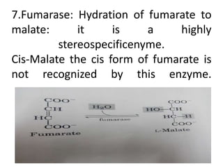 TCA & glyoxylate cycle | PPTX