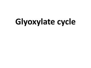TCA & glyoxylate cycle | PPTX