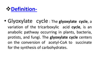 TCA & glyoxylate cycle | PPTX