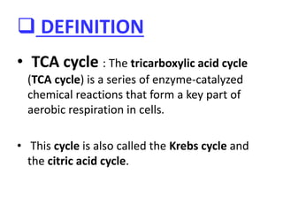 TCA & glyoxylate cycle | PPTX
