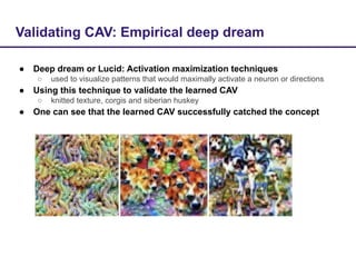Introduction to TCAV (ICML2018) | PDF