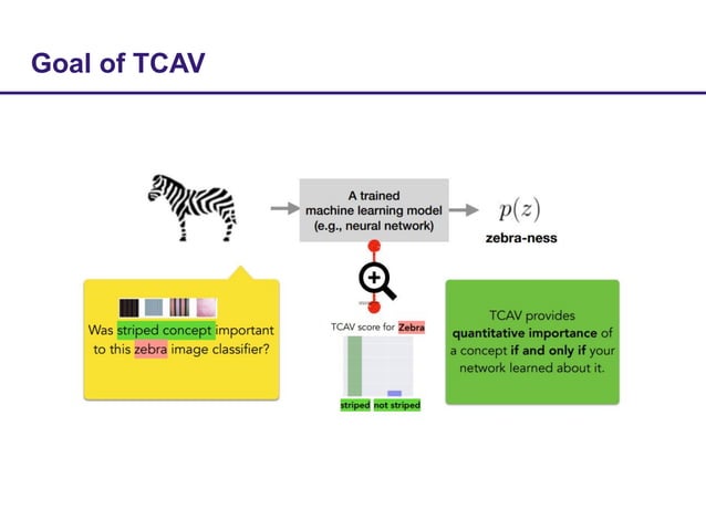 Introduction to TCAV (ICML2018) | PDF | Artificial Intelligence | Technology & Computing