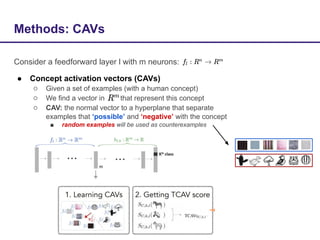 Introduction to TCAV (ICML2018) | PDF