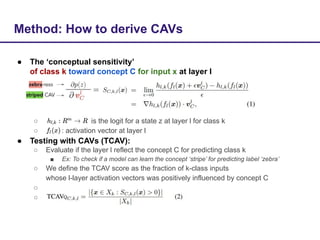 Introduction to TCAV (ICML2018) | PDF
