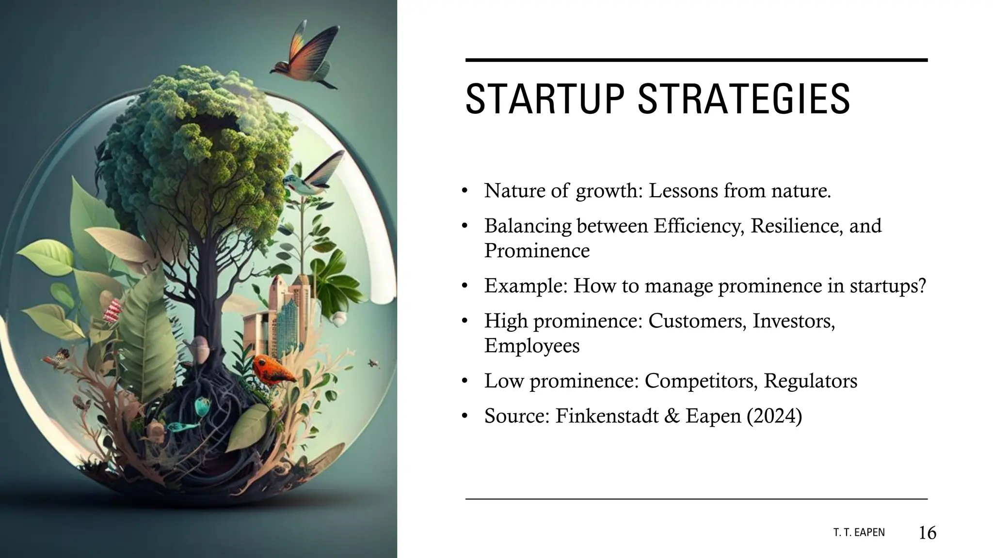 Unlocking Design in Nature for Innovation Ecosystems: The ERP Framework ...