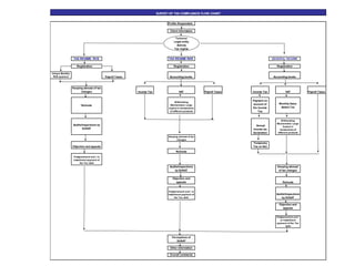 Peru Tax Compliance Cost Surveys | PPT | Free Download