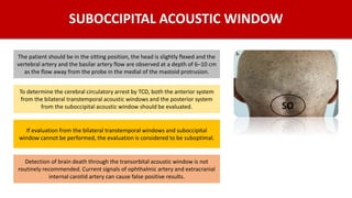 TCD in Brain Death .pptx