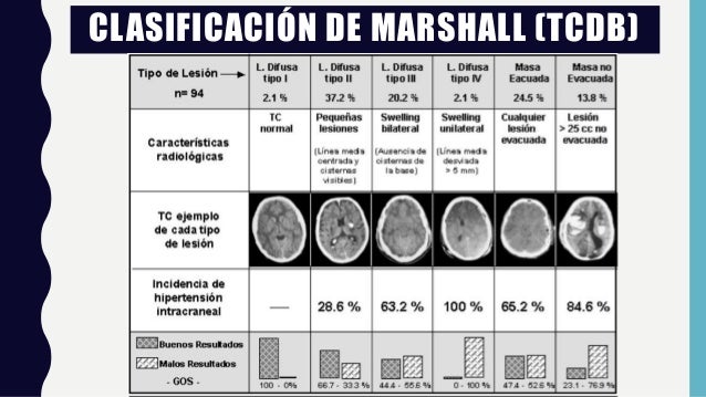 TRAUMA CRANEOENCEFALICO