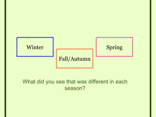 4 Seasons Virtual Field Trip | PPT
