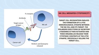 T cell and nk cell mediated cytotoxicity.pptx