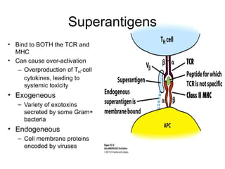 T cell development is an important event in immune system. | PPT