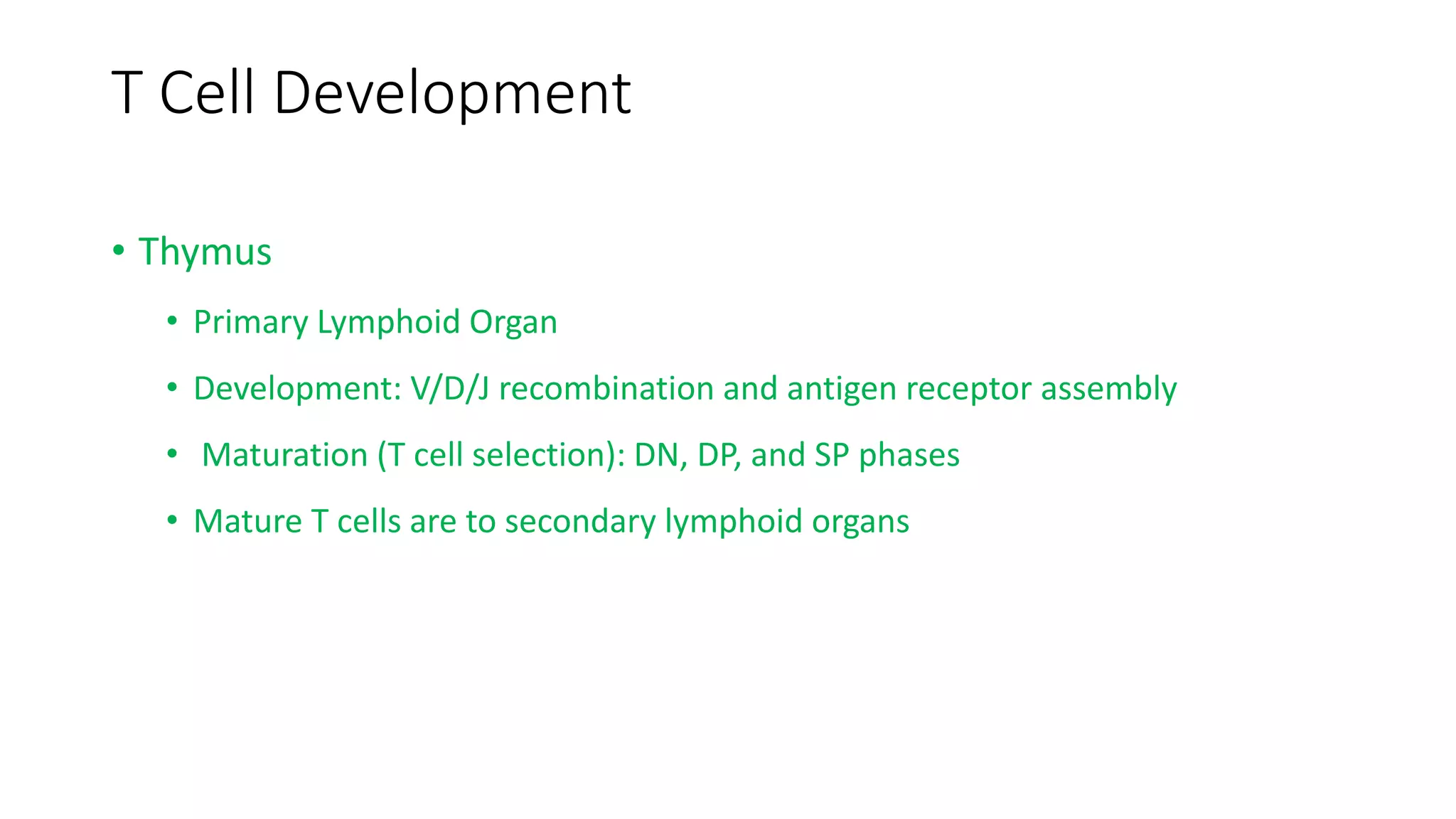 T Cell Development.pptx