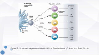 T cell infiltration | PPTX