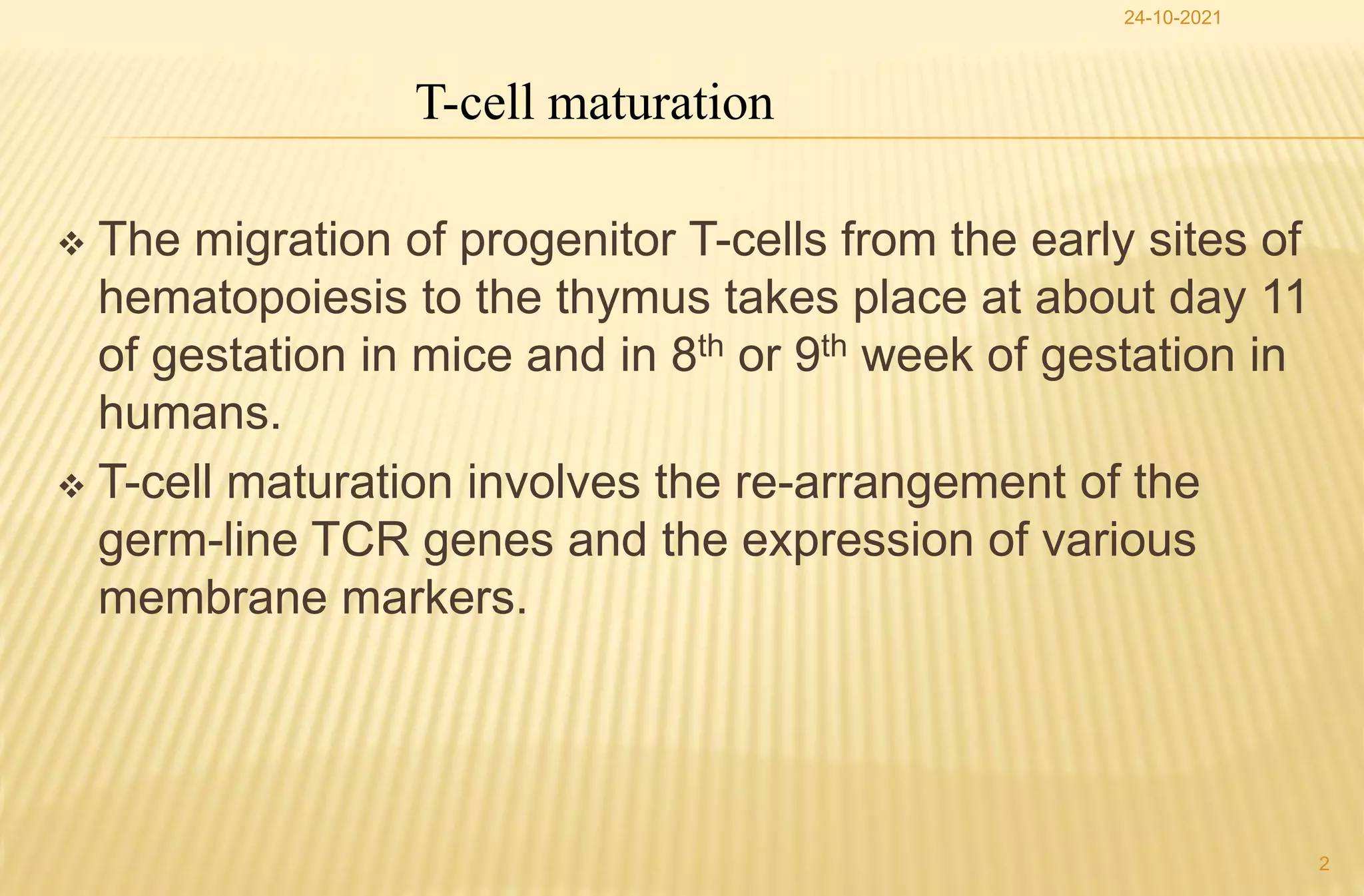T cell maturation and antigen presentation | PPTX