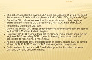 T cell maturation and antigen presentation | PPTX