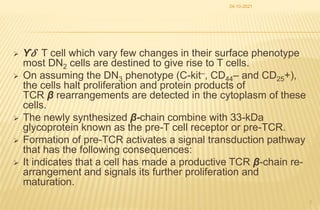 T cell maturation and antigen presentation | PPTX