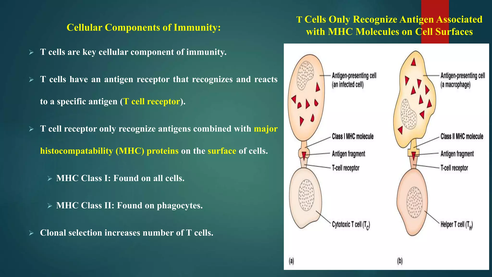 T cell mediated immunity | PPTX