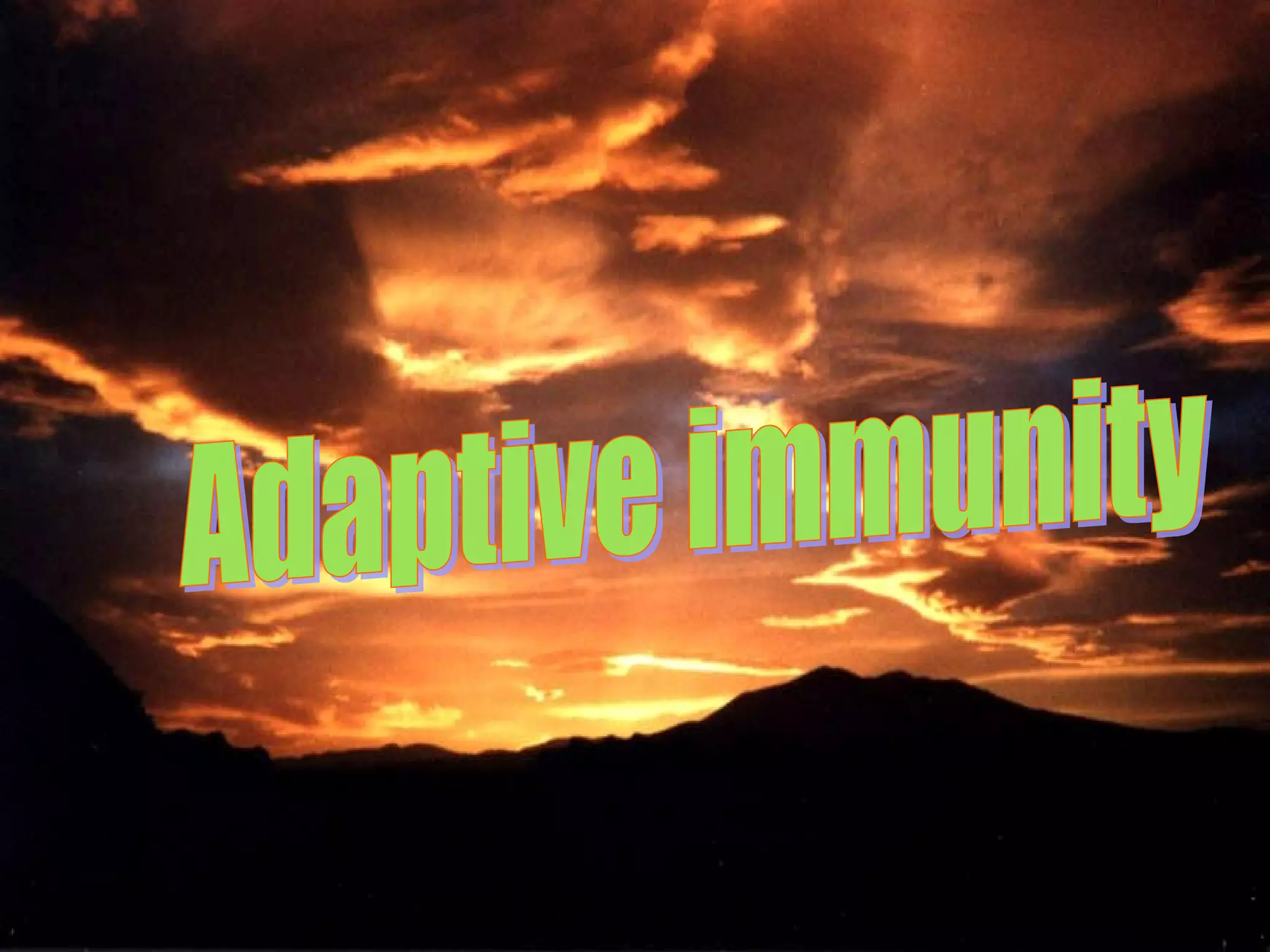 Adaptive immunity | PPT | Genetics | Science