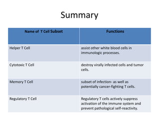 Types Of T Lymphocytes