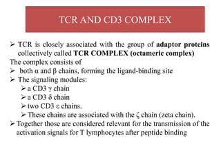 T CELL RECEPTOR.pptx