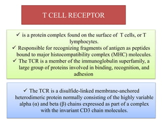 Cell Receptor